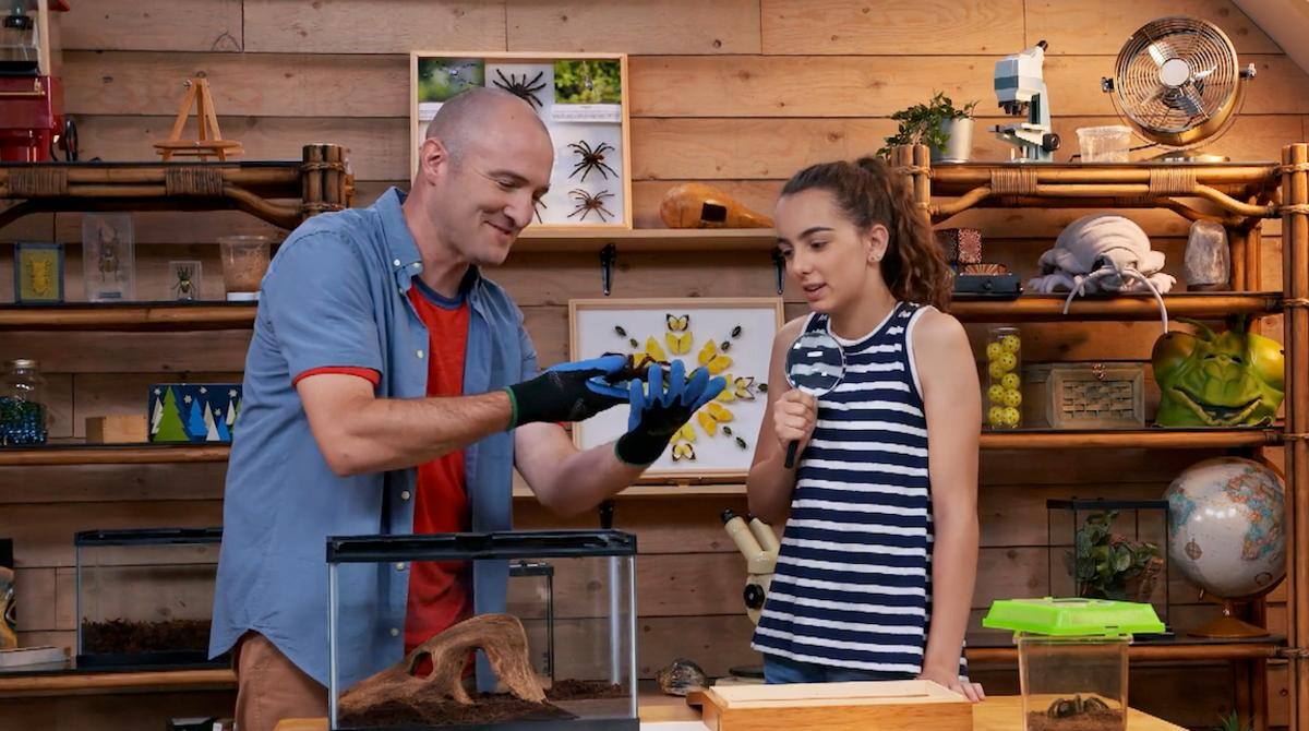 Bill Bestiole, la voix des insectes | Le Journal de Montréal