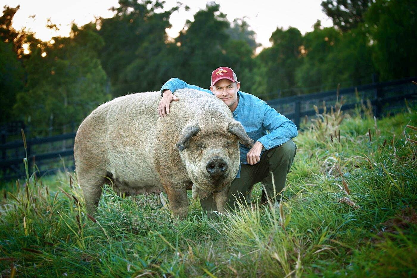 Visites à la ferme | Le Journal de Montréal