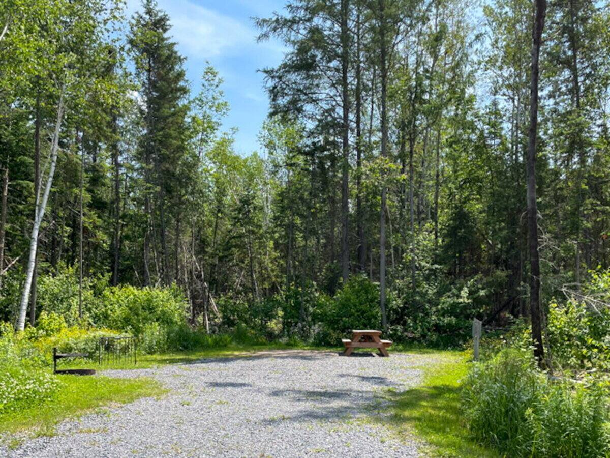 Un paradis méconnu: découvrez le camping du secteur du Camp-de-Touage à ...