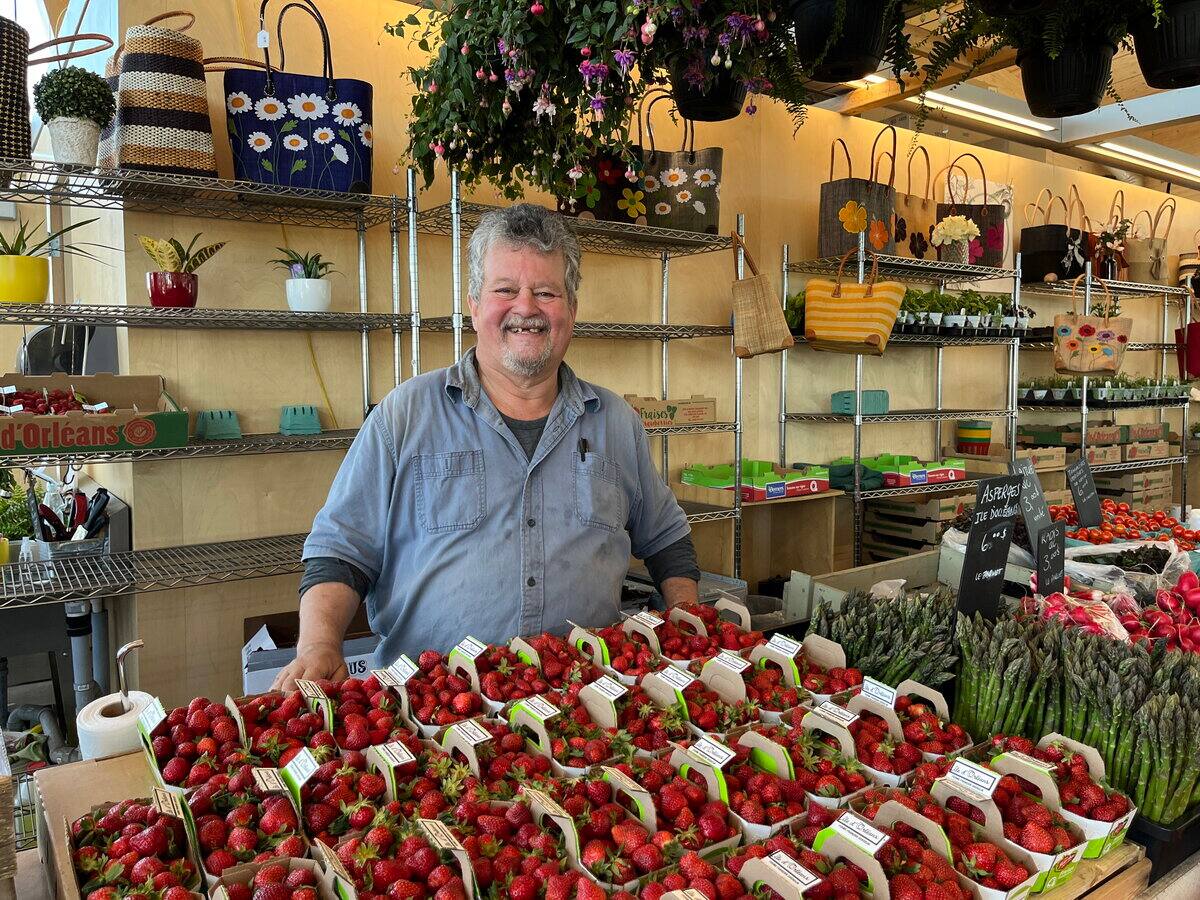 «Assez exceptionnel»: c’est déjà le temps des fraises à Québec | JDQ