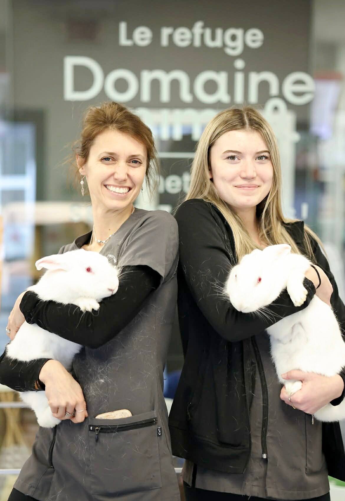 «Ce ne sont pas des cadeaux à offrir à Pâques!»: des refuges s ...
