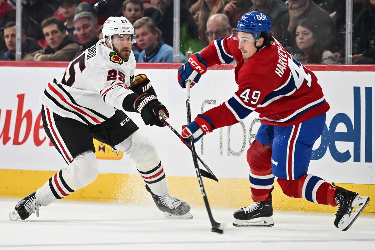 Voici les 46 joueurs du Québec qui évoluent dans la LNH | JDQ