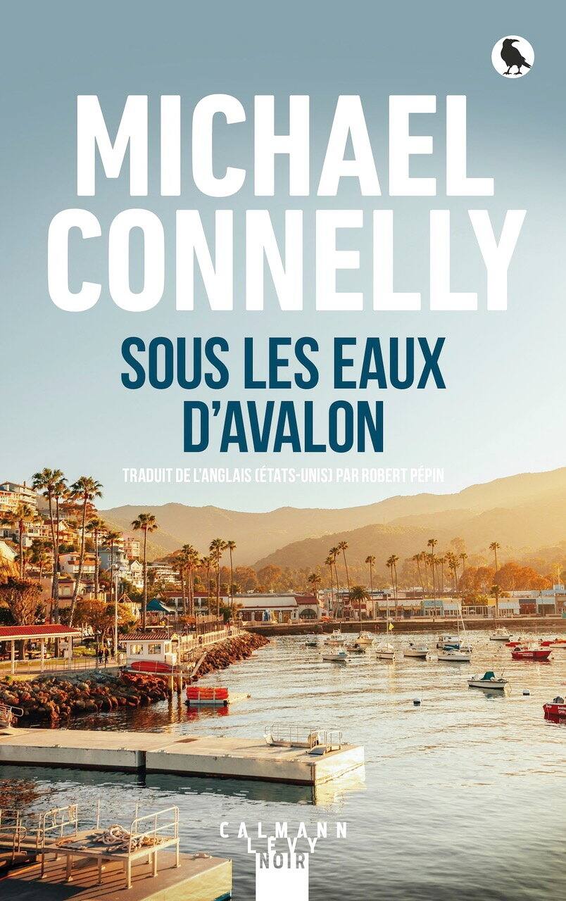 Après Mickey Haller, Jack McEvoy, Renée Ballard et Harry Bosch, l ...