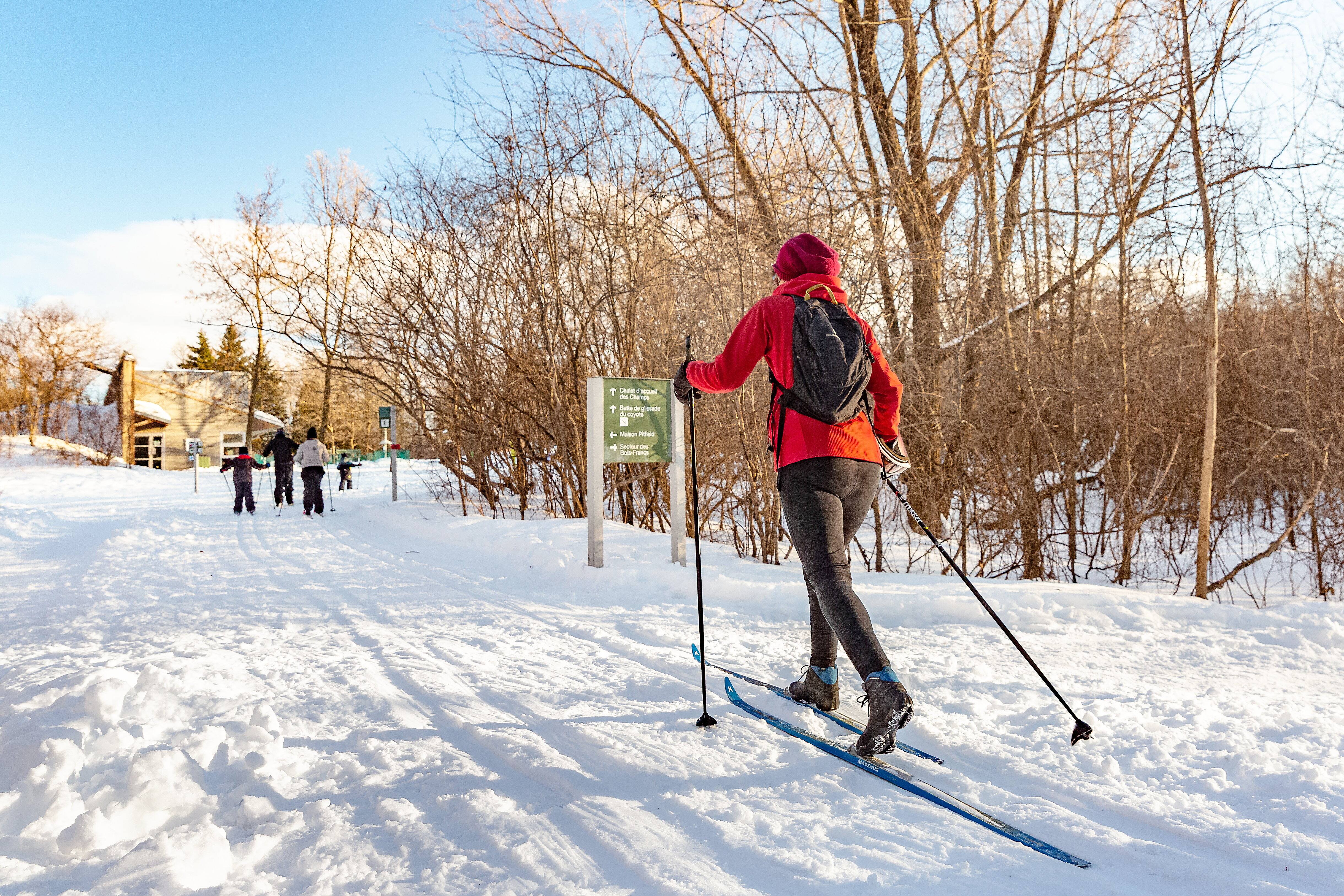 Des sentiers en nature... à Montréal! | JDM