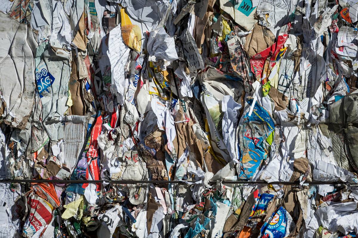 Où va le recyclage? Voici comment le papier et le carton sont recyclés ...