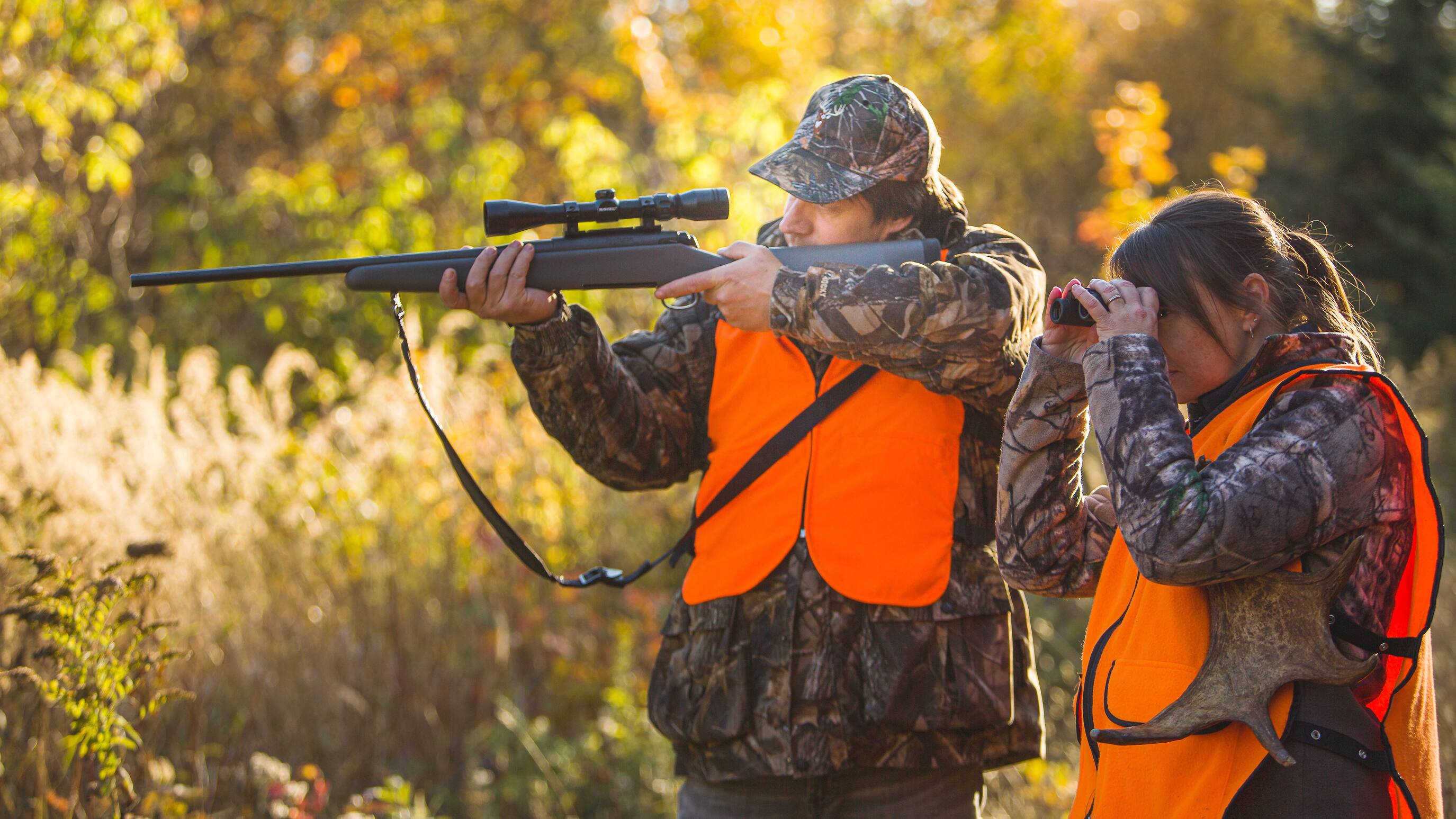 Du nouveau pour la chasse au chevreuil | JDQ