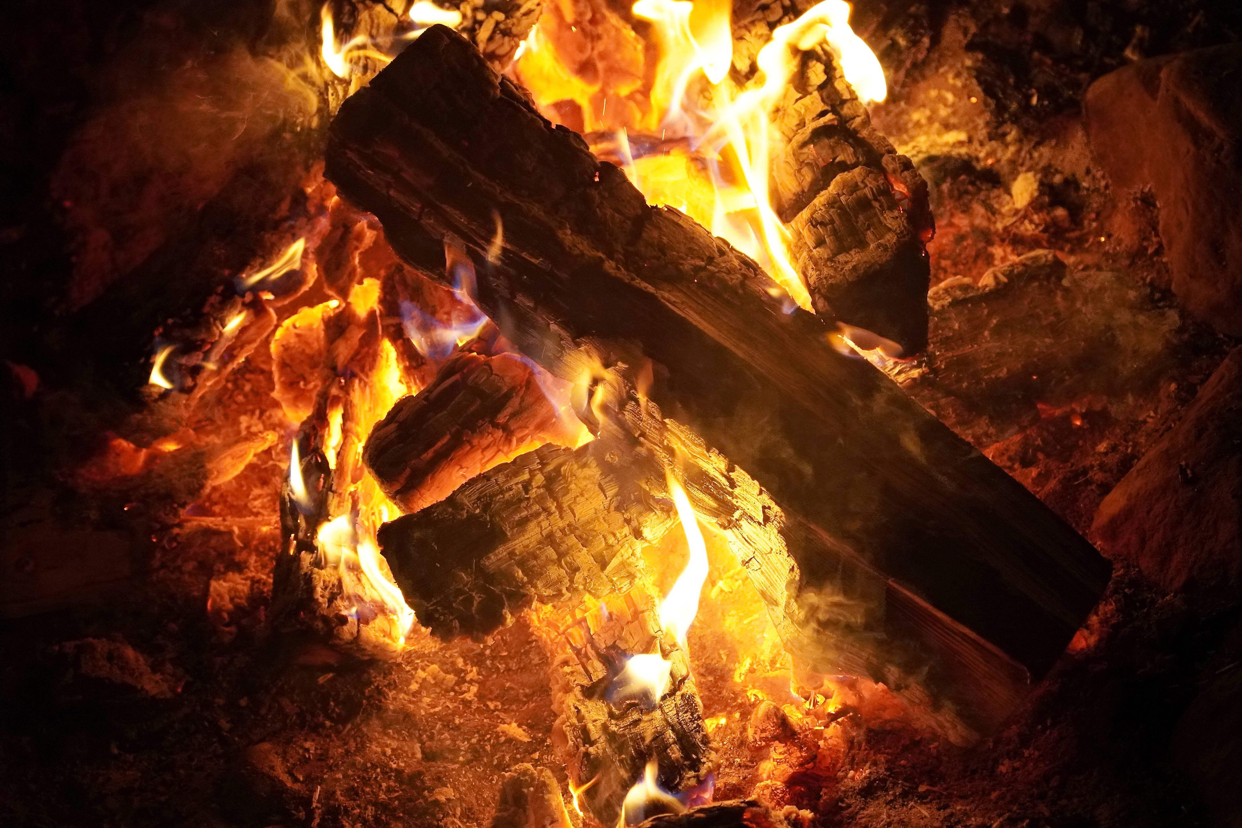 Feu de camp: suivez ces conseils de sécurité pour protéger nos forêts ...