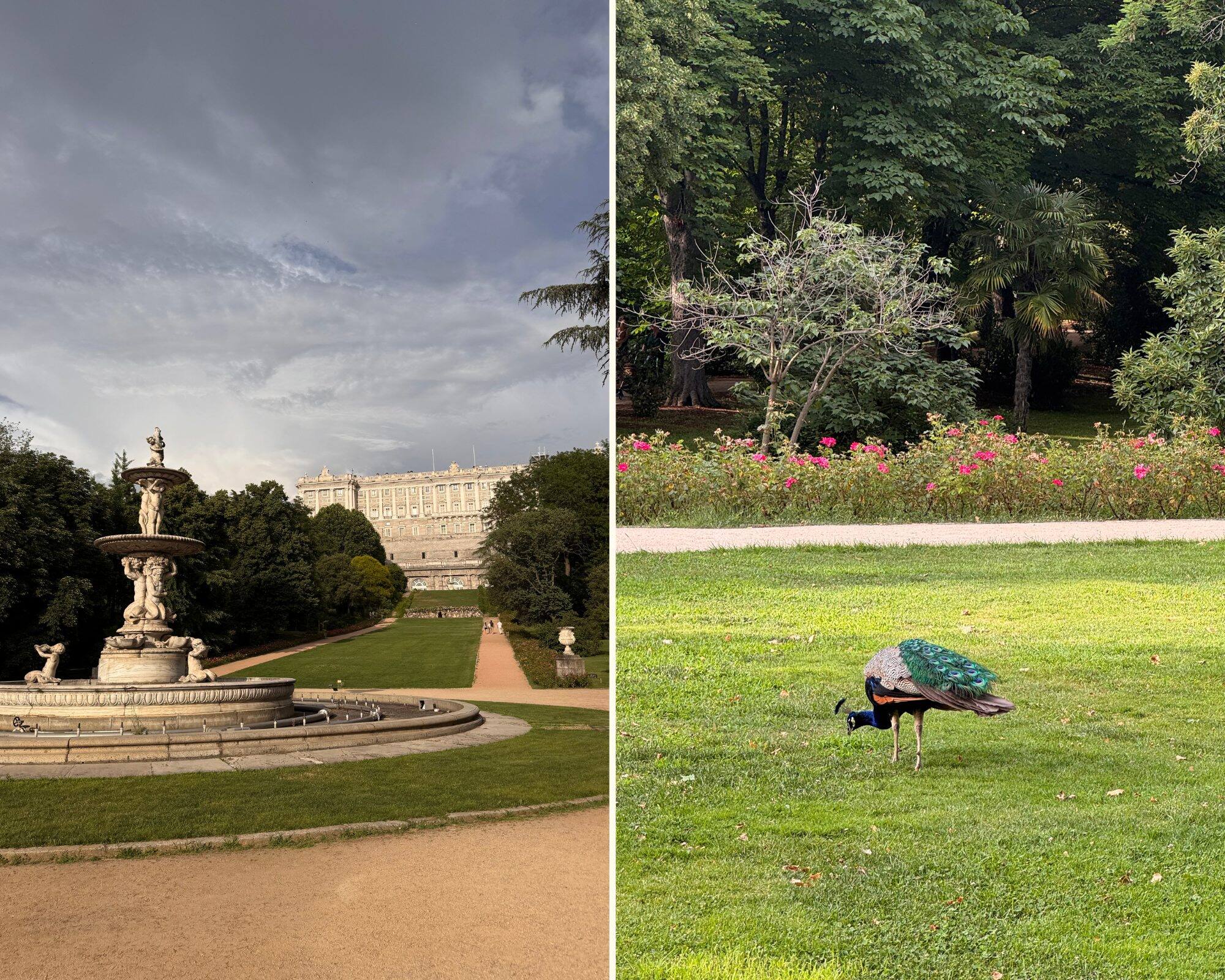 J'ai adoré Madrid, surtout pour ces 5 activités dont personne ne parle ...