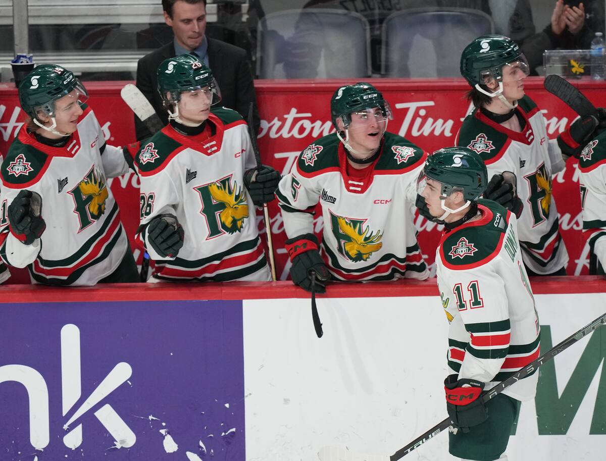 LHJMQ : Jordan Dumais s’approche des 100 points - TVA Sports