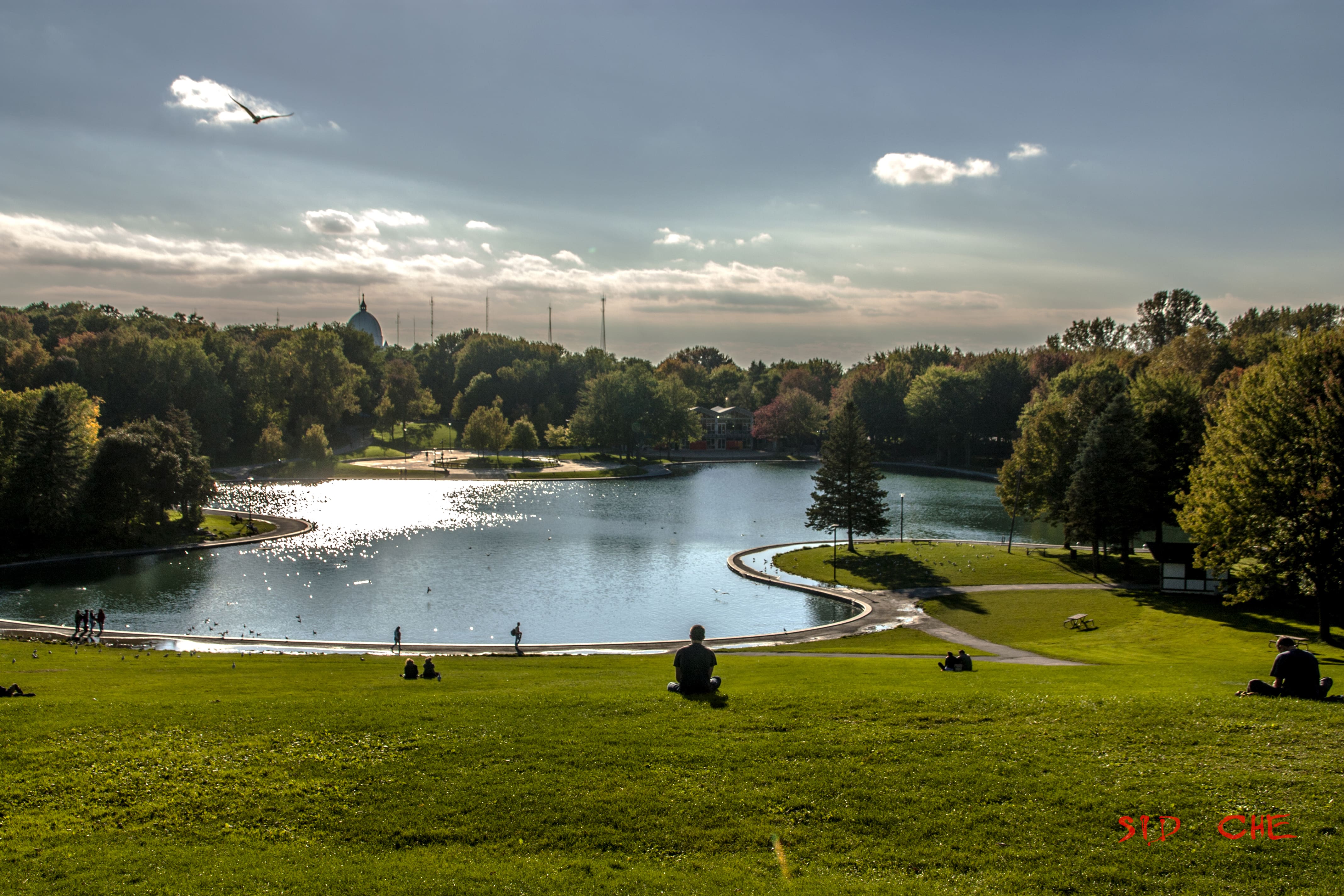 Du Vieux-Port au parc du Mont-Royal: 7 attraits incontournables à ...
