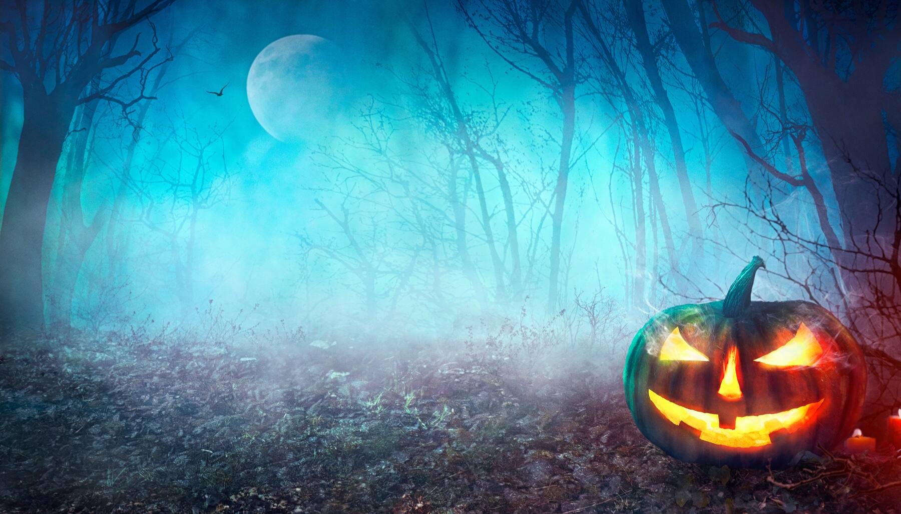 Des crinqués déjà prêts pour l’Halloween | JDM