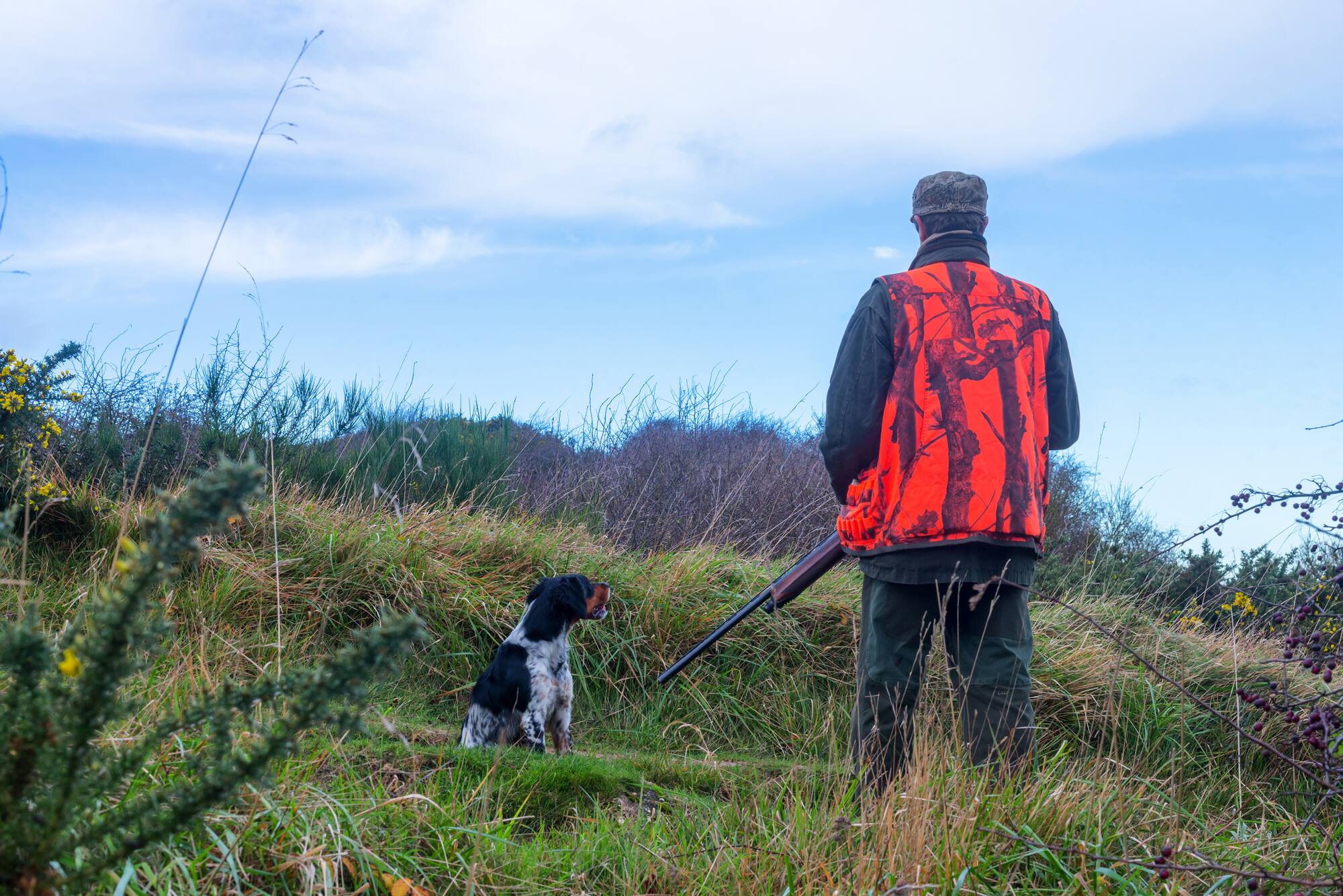 Chasser le petit gibier dans les réserves fauniques | JDQ