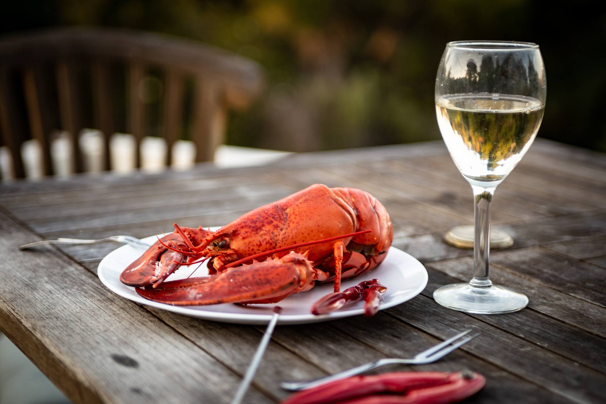 Cinq vins à moins de 20 $ parfaits pour le homard | JDM