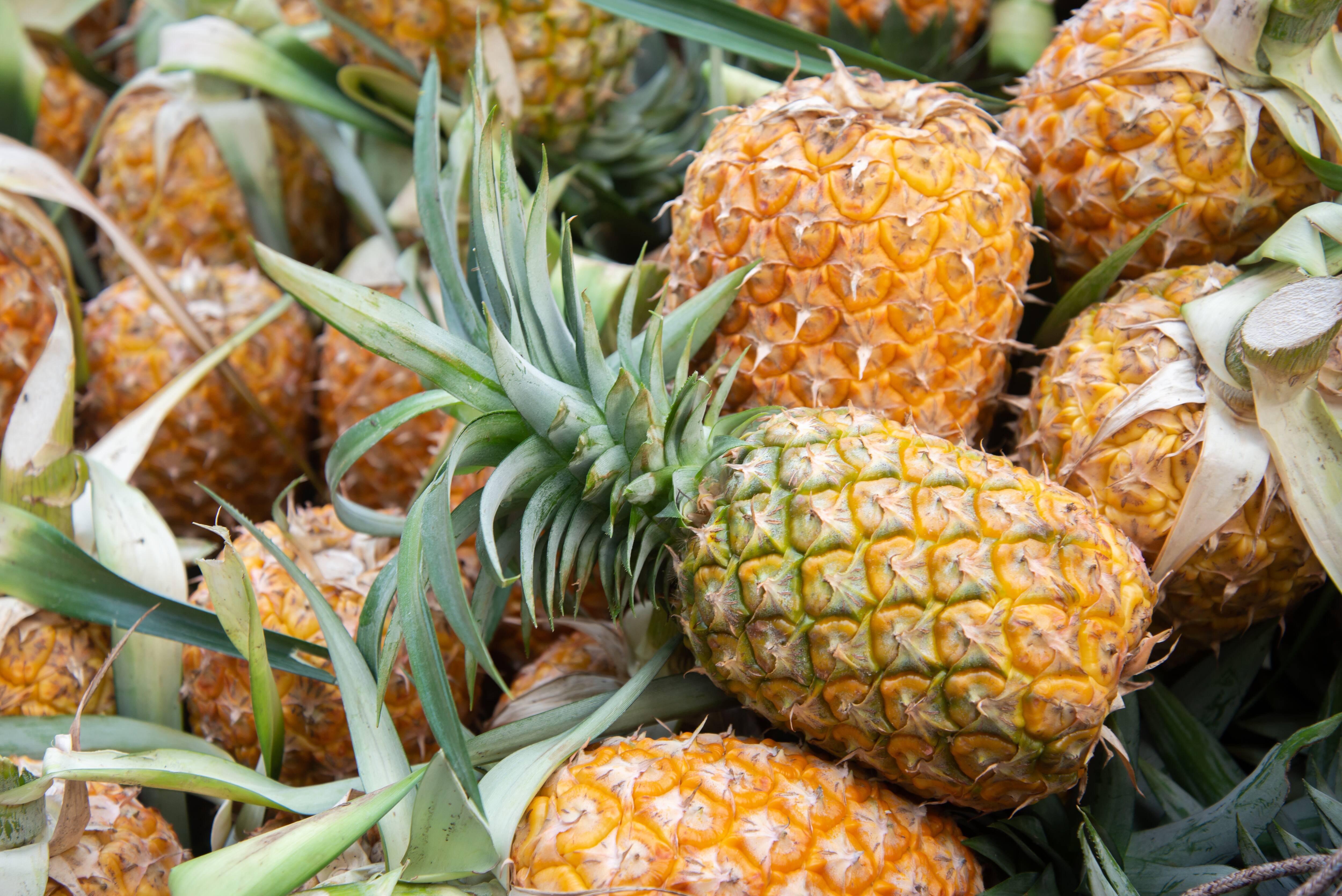 Ananas frais à 1,94 $ l'unité : 3 recettes à cuisiner | TVA Nouvelles