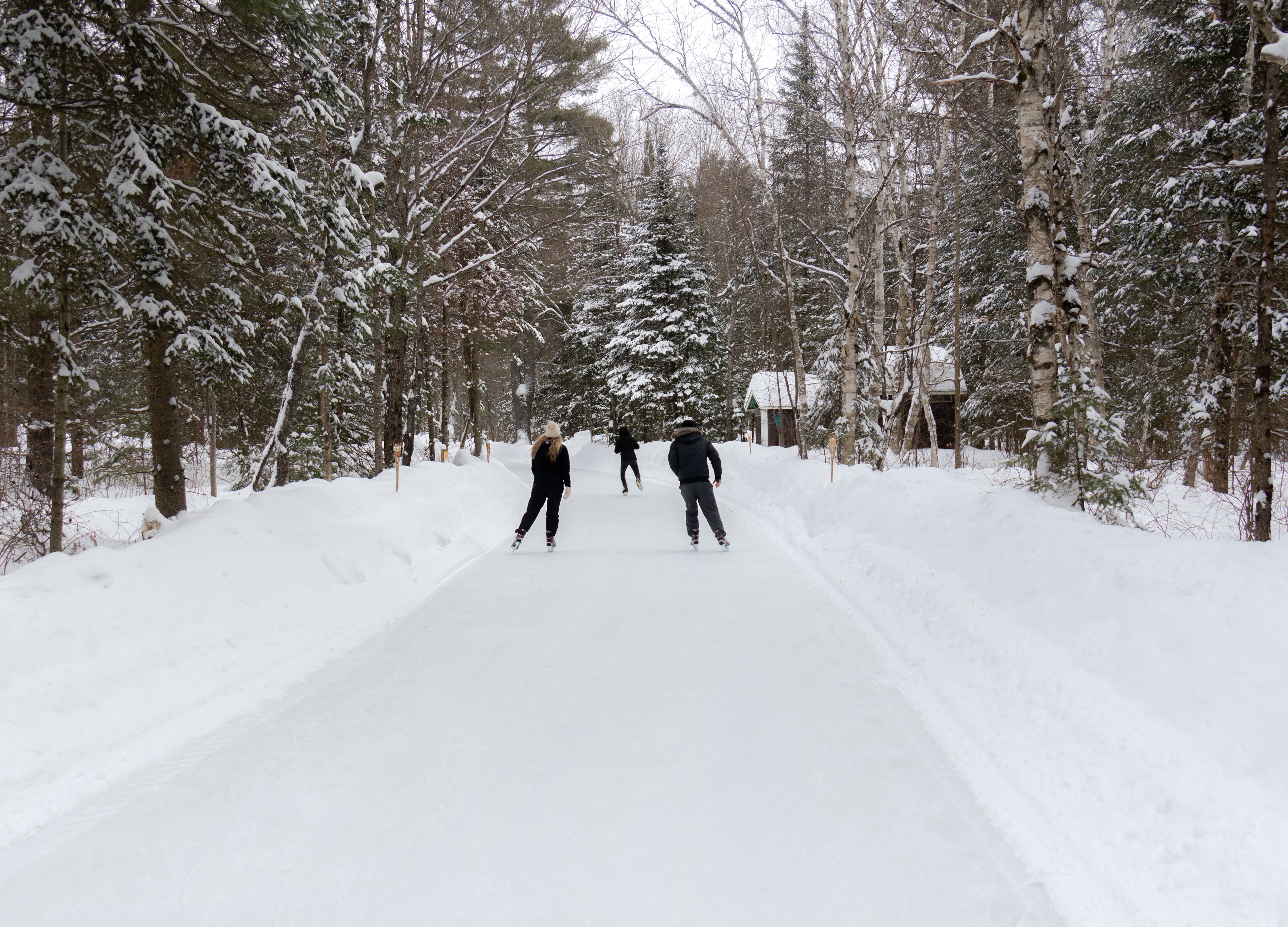 10 sentiers glacés féériques pour patiner au coeur de la forêt (même ...