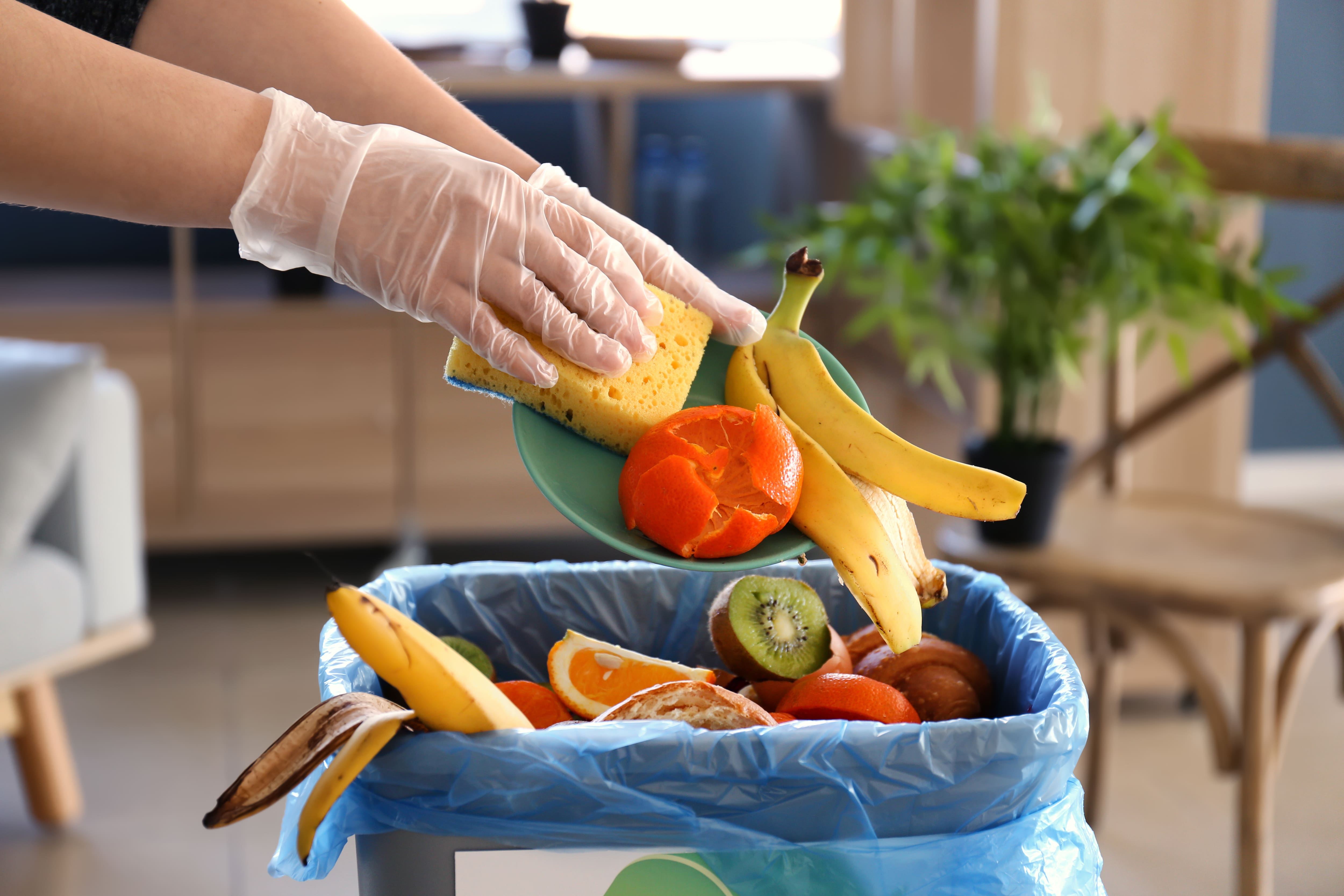 Les aliments insalubres provoquent chaque année 1,5 million de décès ...