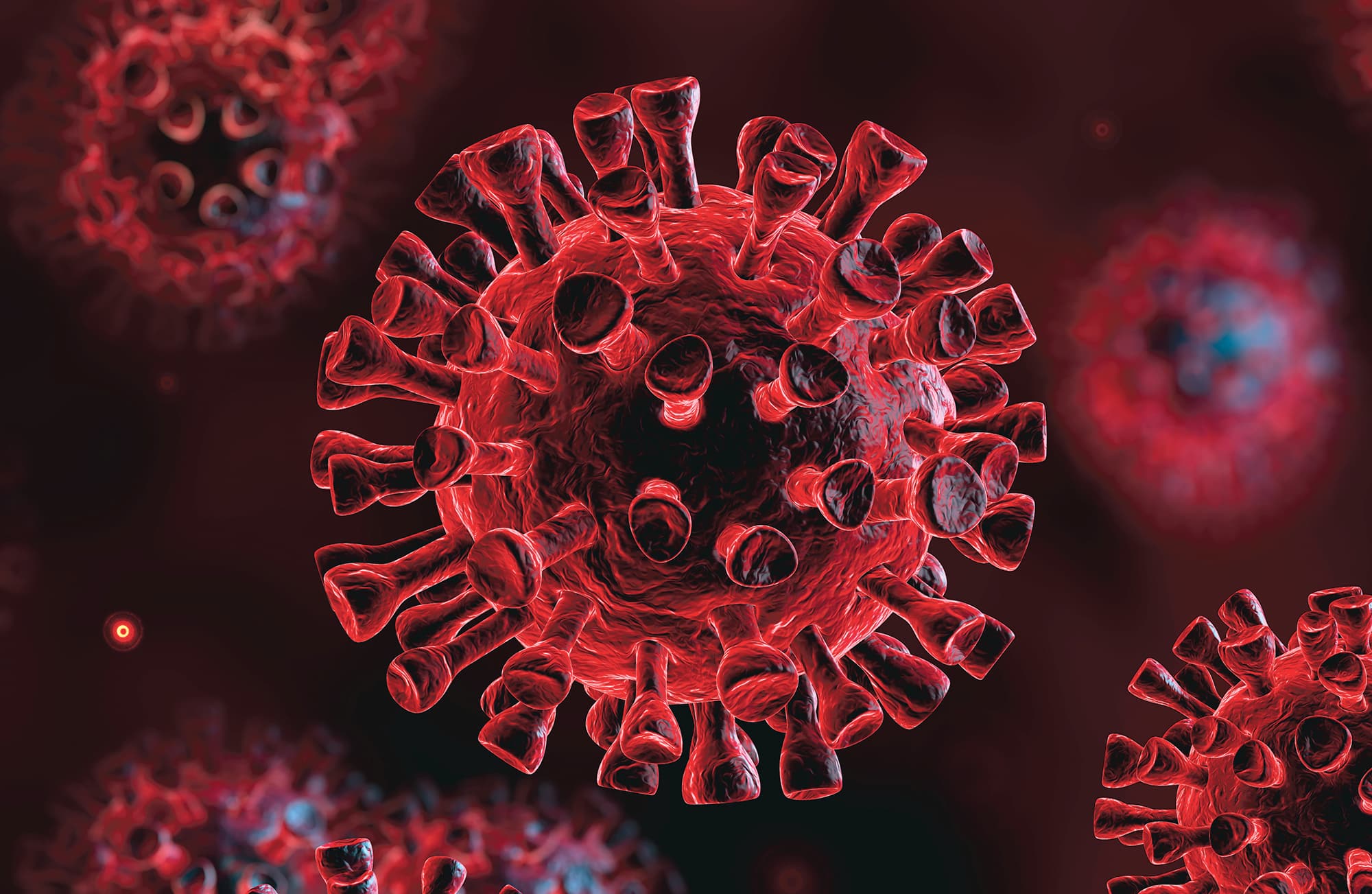 DPJ : la journaliste Nancy Audet s’ouvre sur son passé | TVA Nouvelles