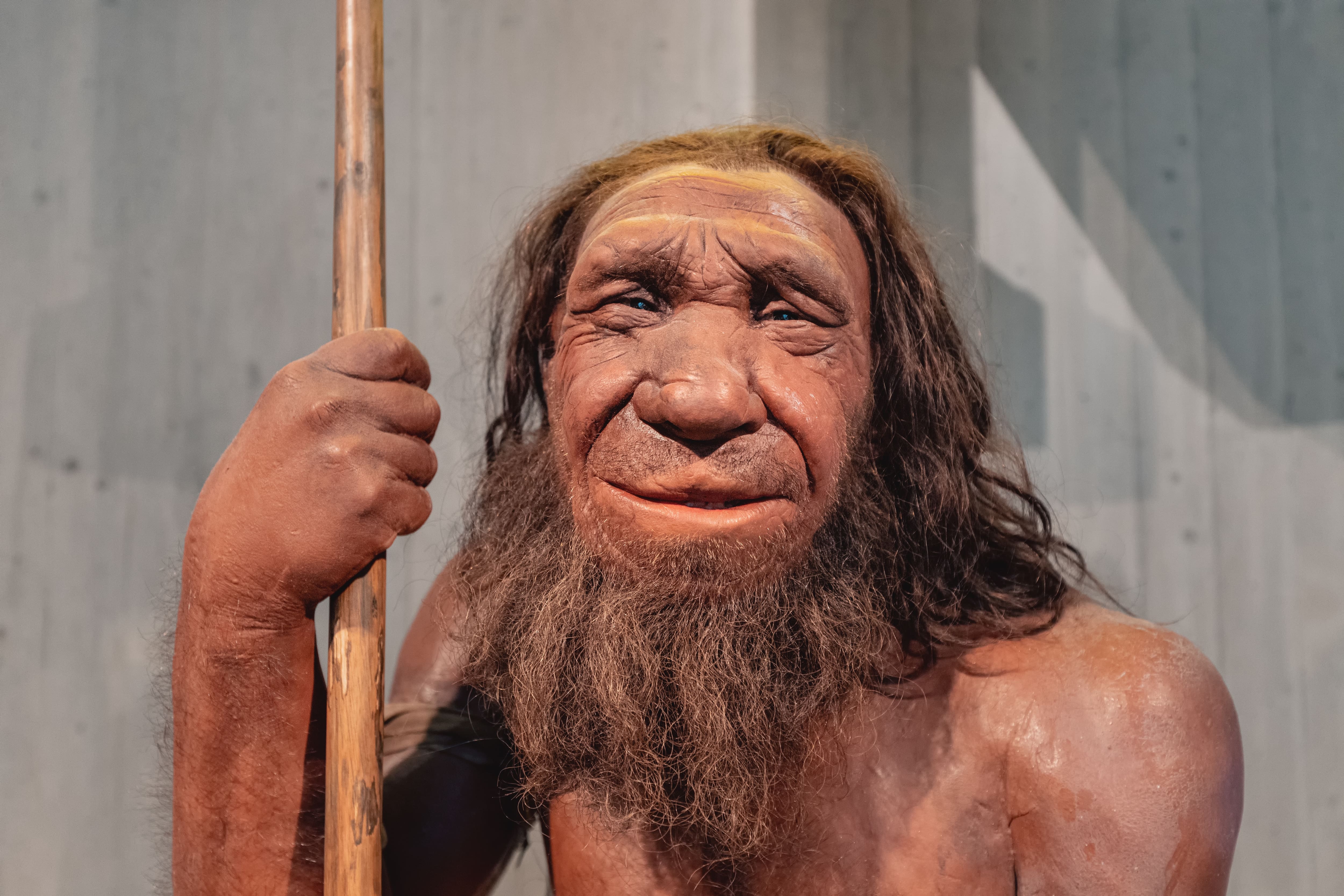 Neanderthal DNA may be linked to smoking and alcohol consumption, study ...