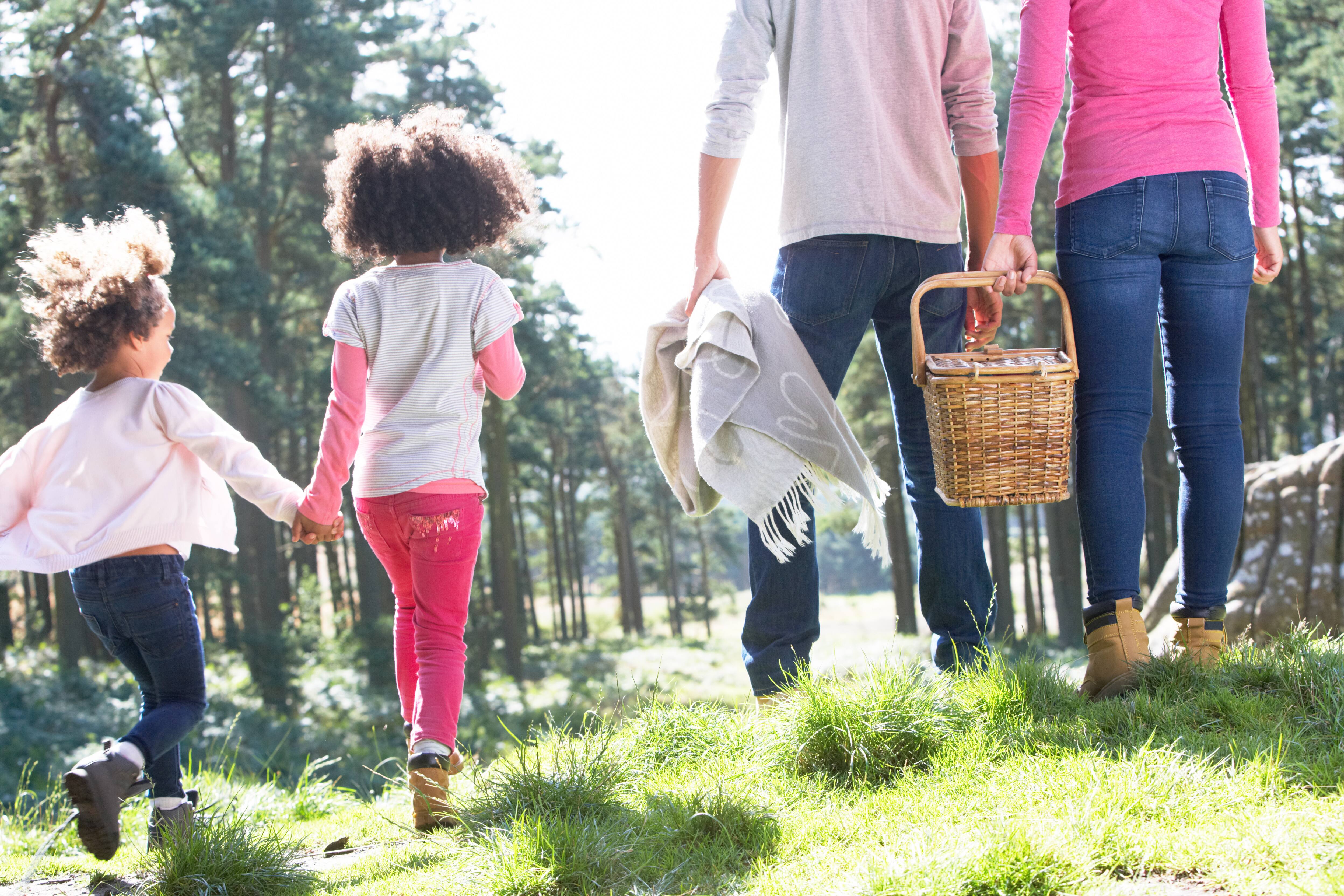 Semaine québécoise des familles: et si l’on œuvrait, ensemble, à ...