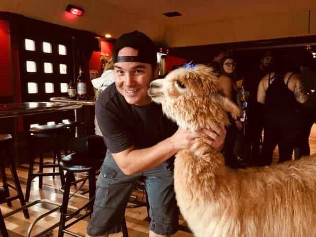 [EN IMAGES] Un cheval s'installe au comptoir d'un bar à Lyster | JDQ