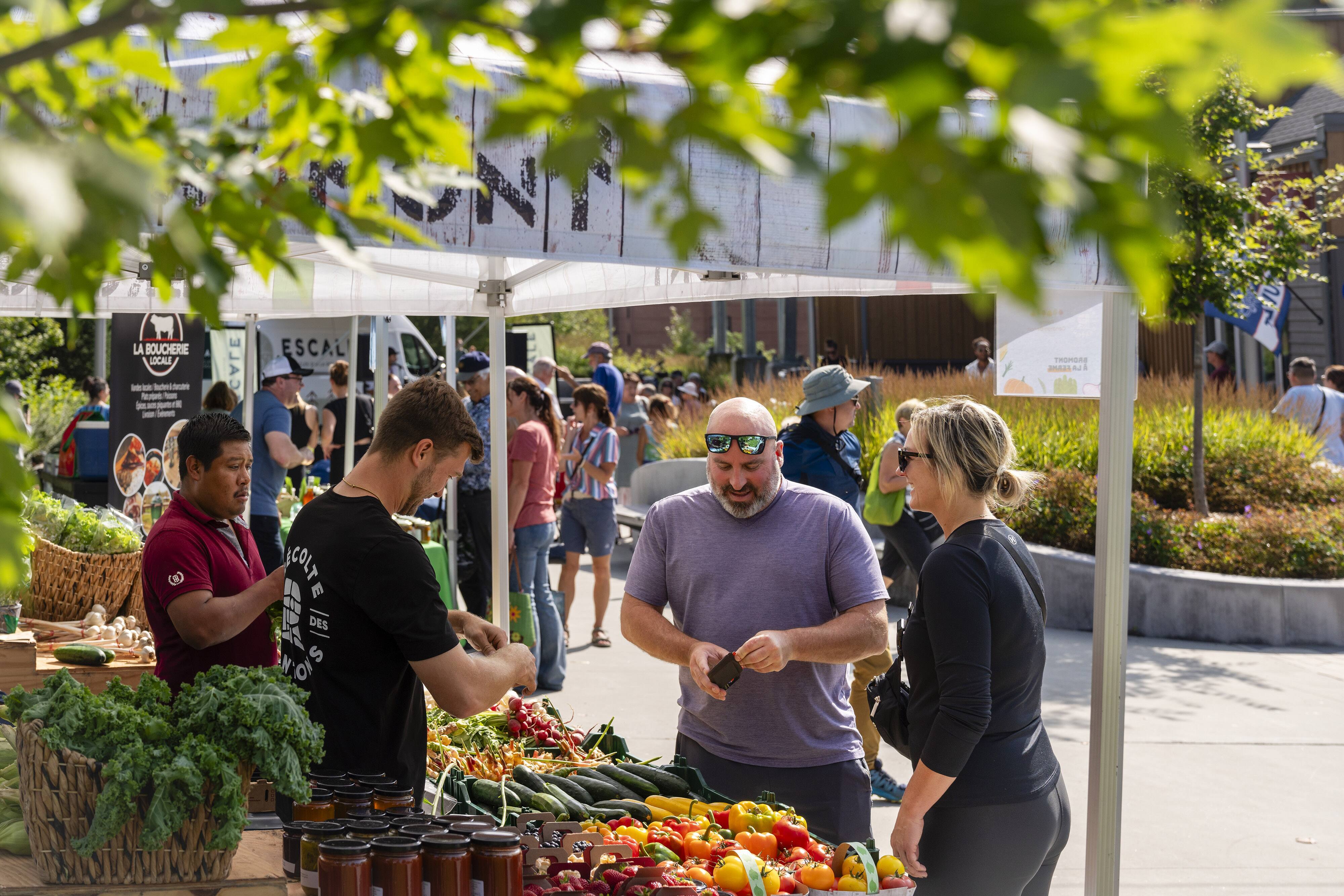 7 activités gratuites à faire à Bromont et dans ses environs | JDM