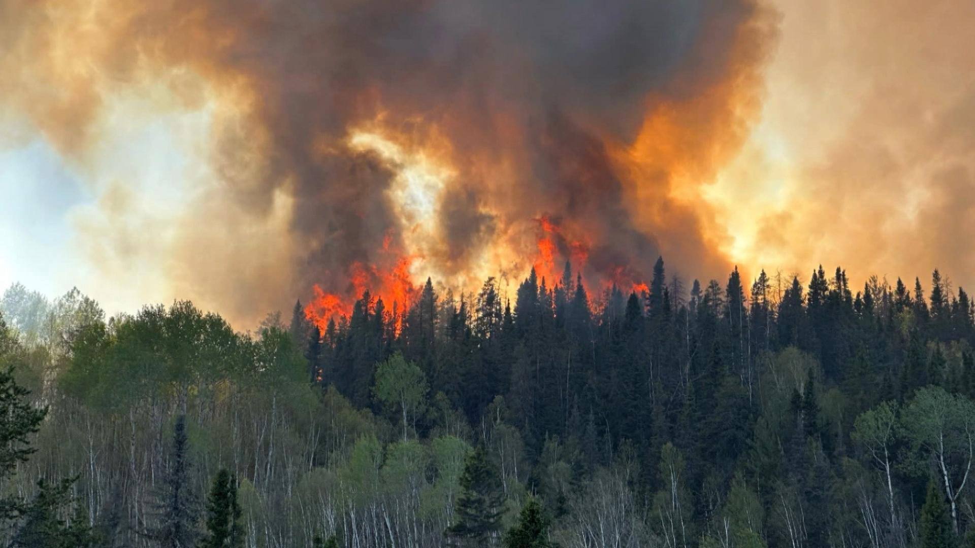 L'incendie de forêt toujours en cours à Ferland-et-Boilleau | TVA Nouvelles