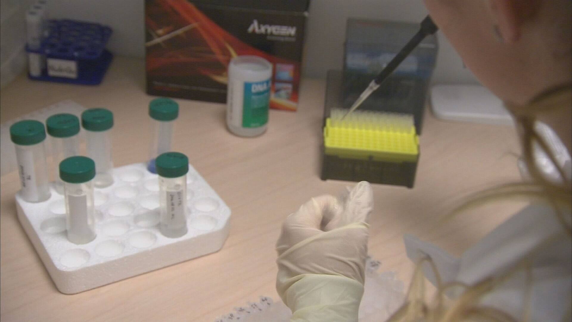 Laboratoires OPTILAB: «200 millions de tests pour 8 millions de ...