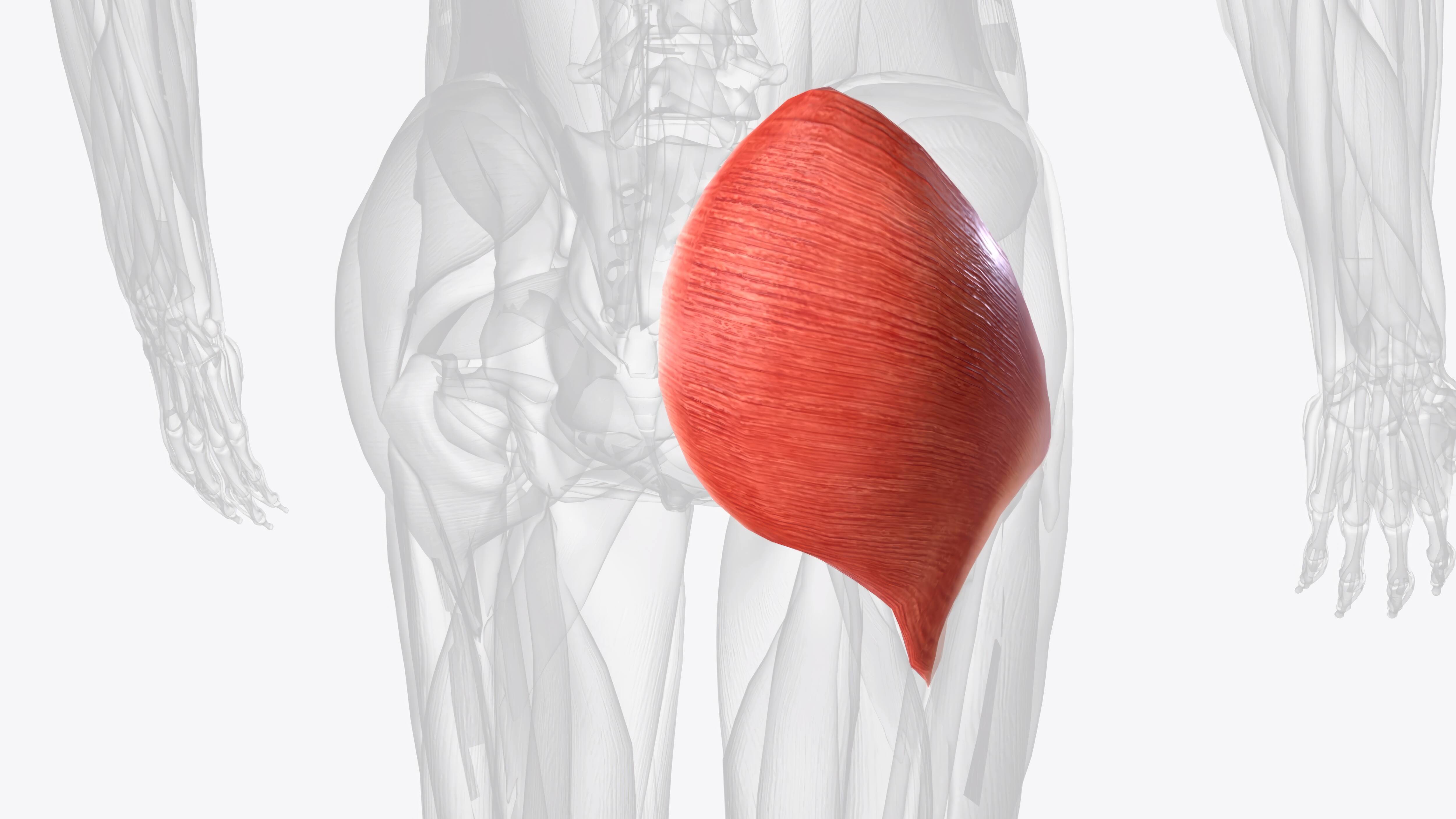 Réponses à tout: qui a inventé le «high five»? | 7 Jours