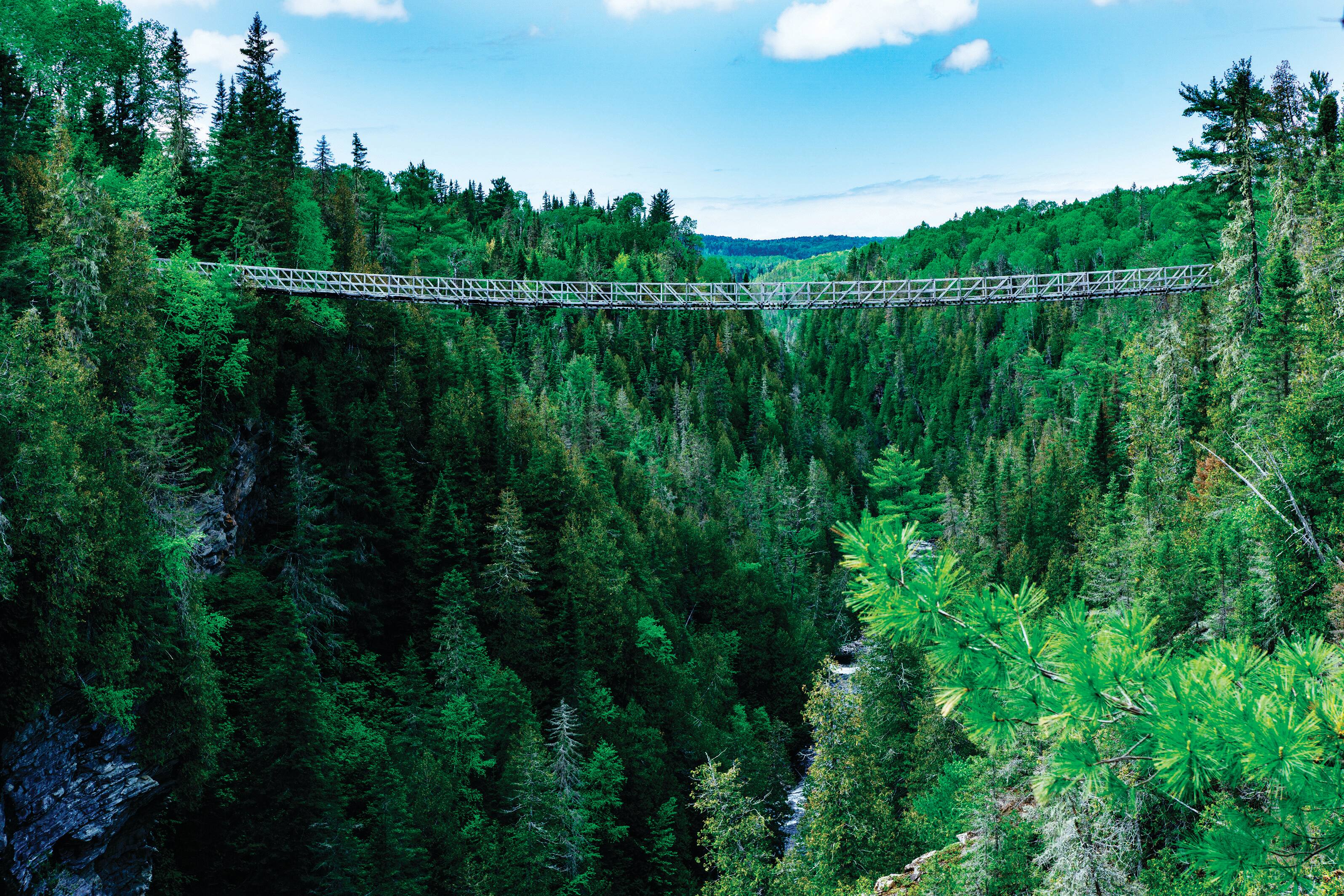 Admirer les couleurs d’un pont suspendu | 7 Jours