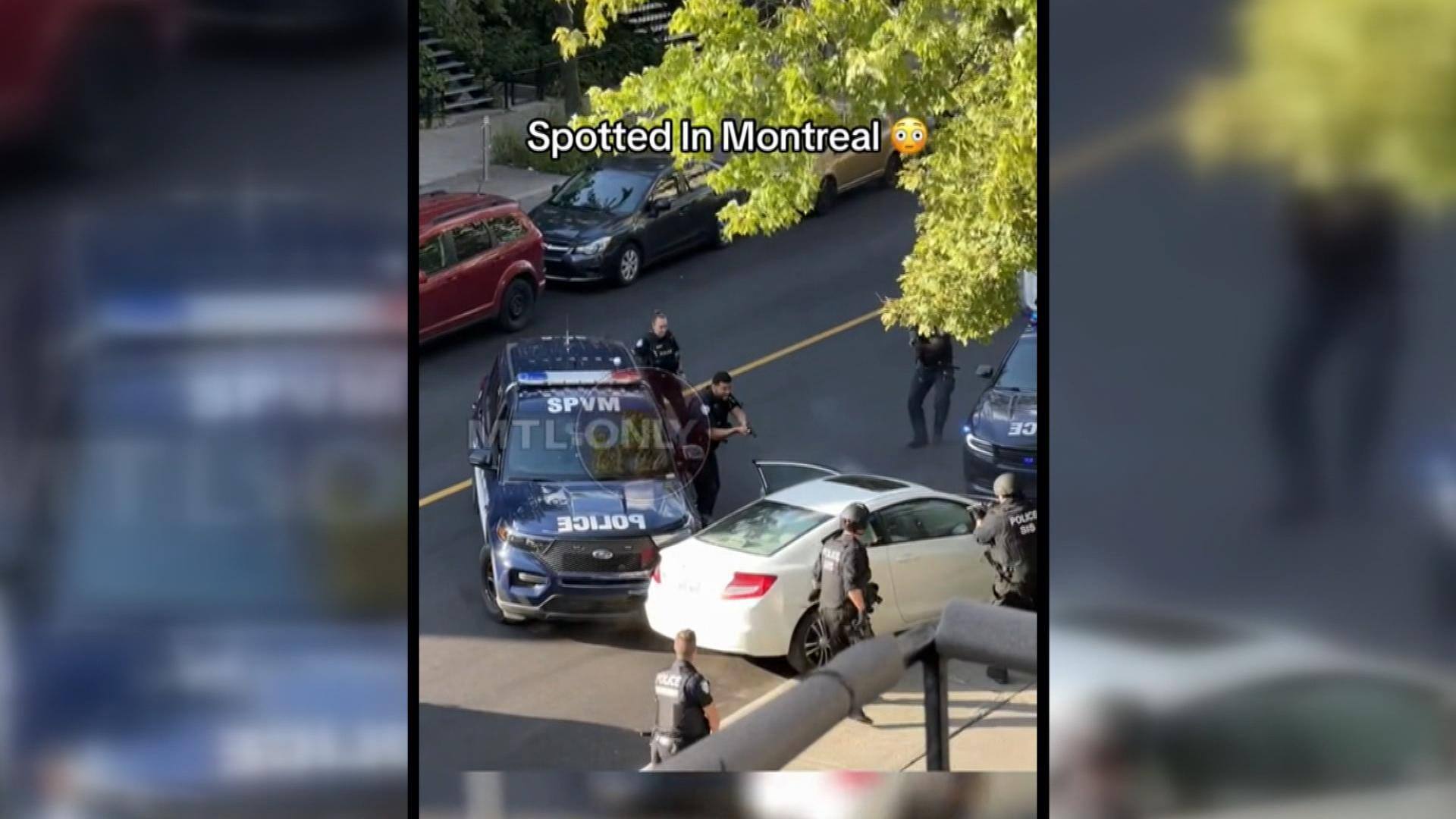 [EN VIDÉO] Une arrestation digne d'un film hollywoodien à Montréal ...