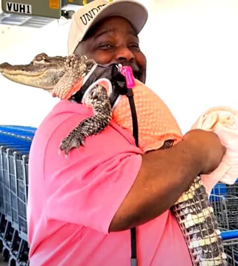 Cute girl creepshot vIPs stay tuned, for ordinary clients,