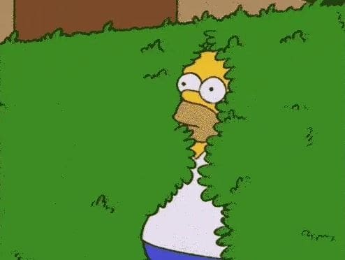 Renvoyé pour avoir partagé un GIF d’Homer Simpson | JDM