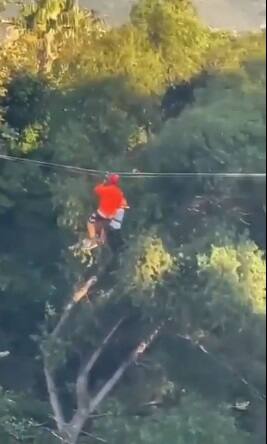 Amusement Park Zipline Accident: 6-Year-Old Boy Rescued After Harness ...