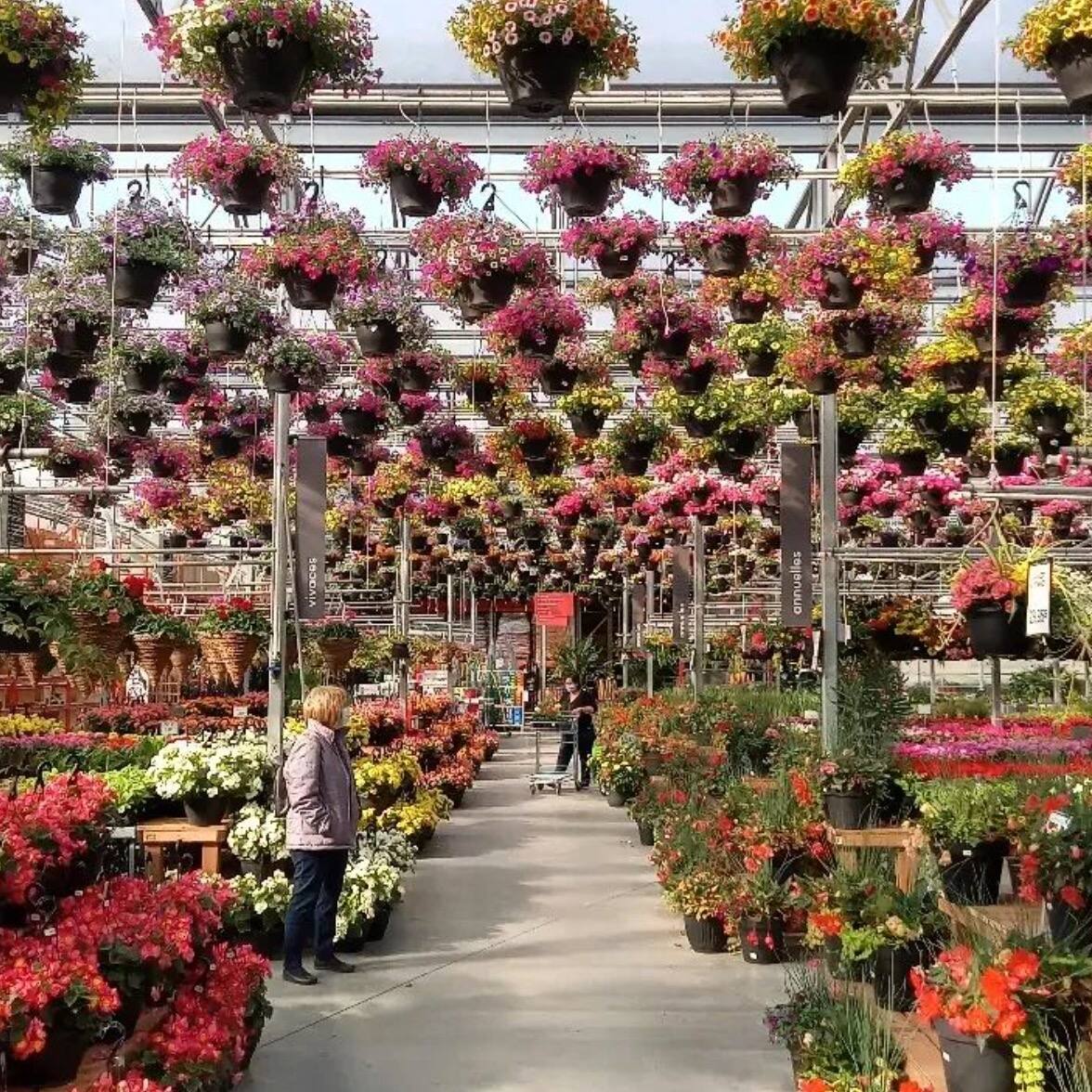 Archipel: le nouveau centre de jardinage et d’art de vivre sur la Rive ...