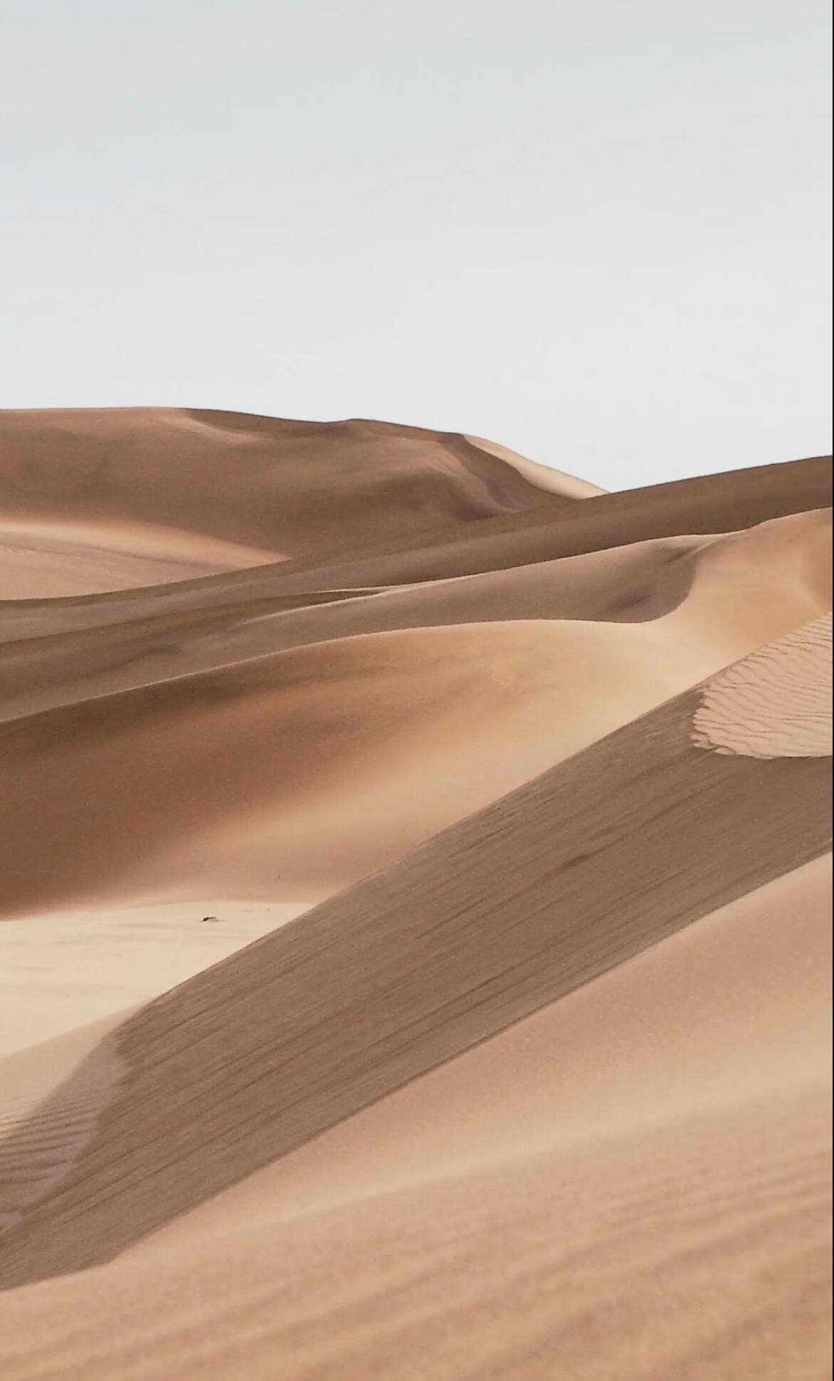 Le FEQ révèle un dernier indice sur sa programmation, quelques heures ...