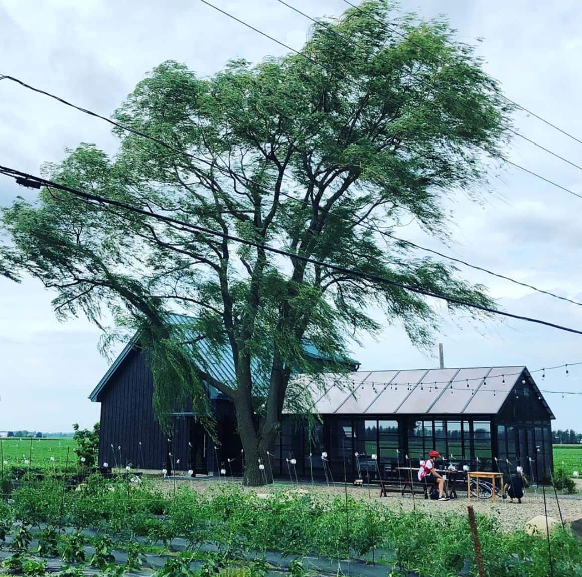 Bika Farm: mangez des repas gastronomiques à la ferme de la réputée ...
