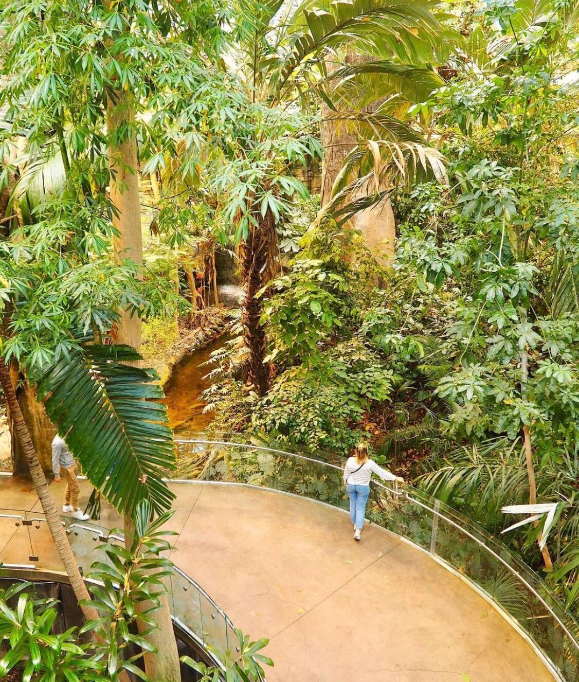 L'accès au Biodôme, au Planétarium, au Jardin botanique, à l ...