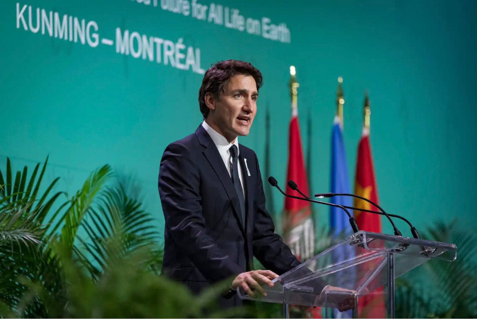 Cinq Choses à Savoir Sur La Cop15 Sur La Biodiversité Jdm