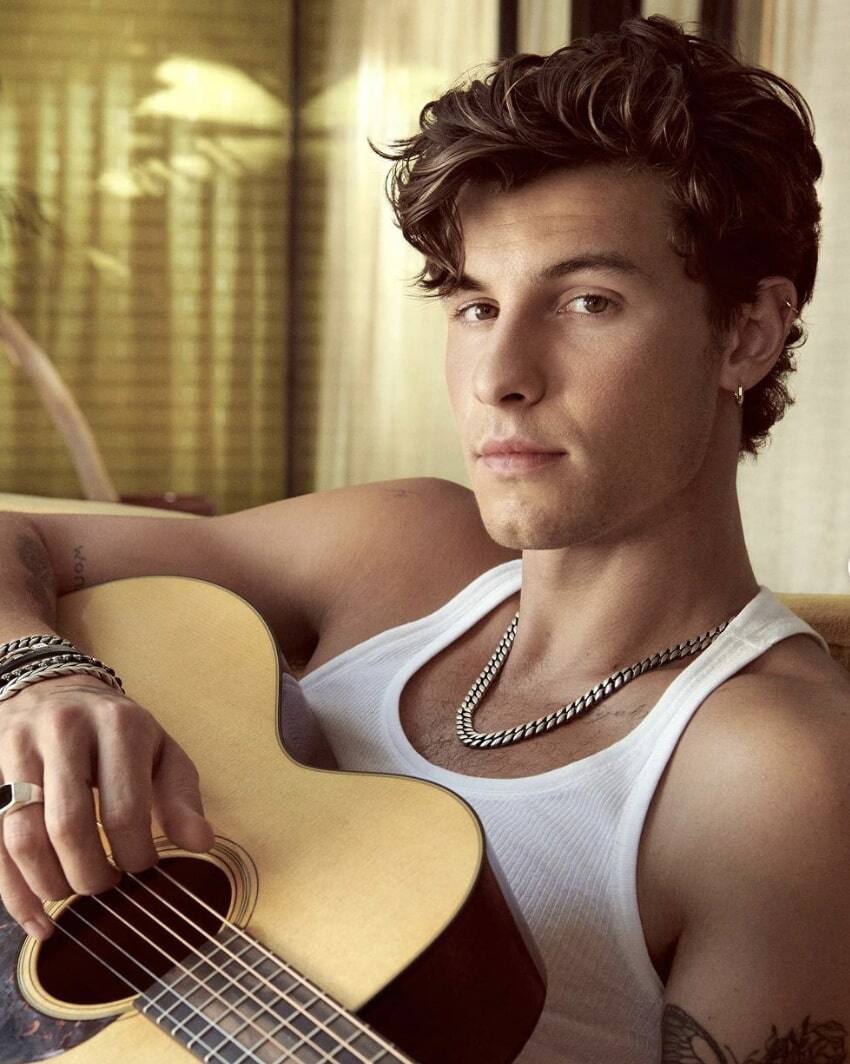 Des rumeurs circulent sur une idylle entre Shawn Mendes et cette ...