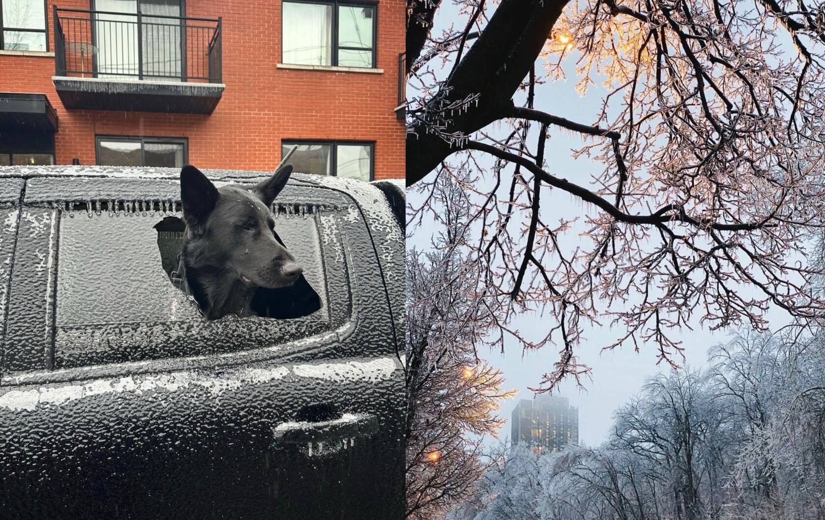 [PHOTOS] La tempête de verglas à travers vos yeux | Silo 57