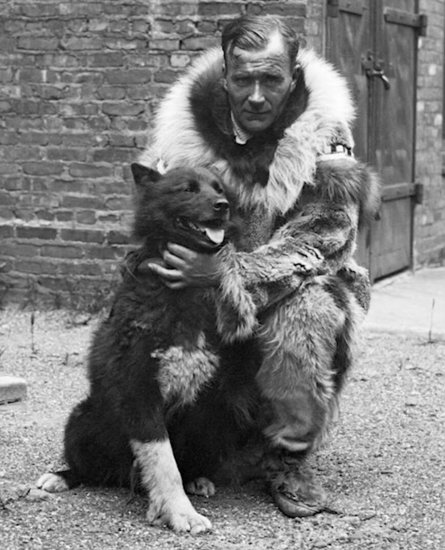 One hundred years later, the feat of the famous American dog Balto ...