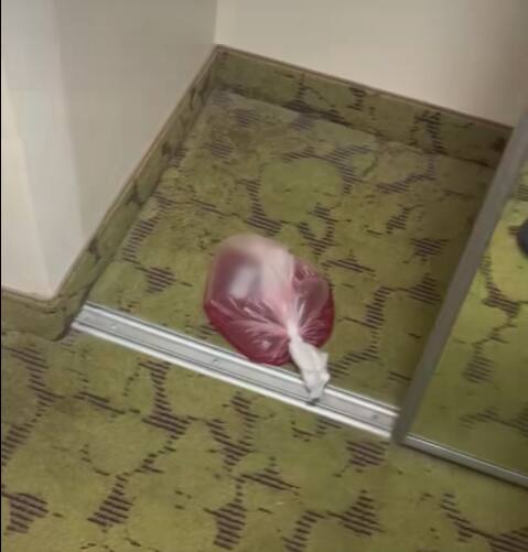 Floride: elle confond un sac de vomi avec un fœtus avorté | JDQ