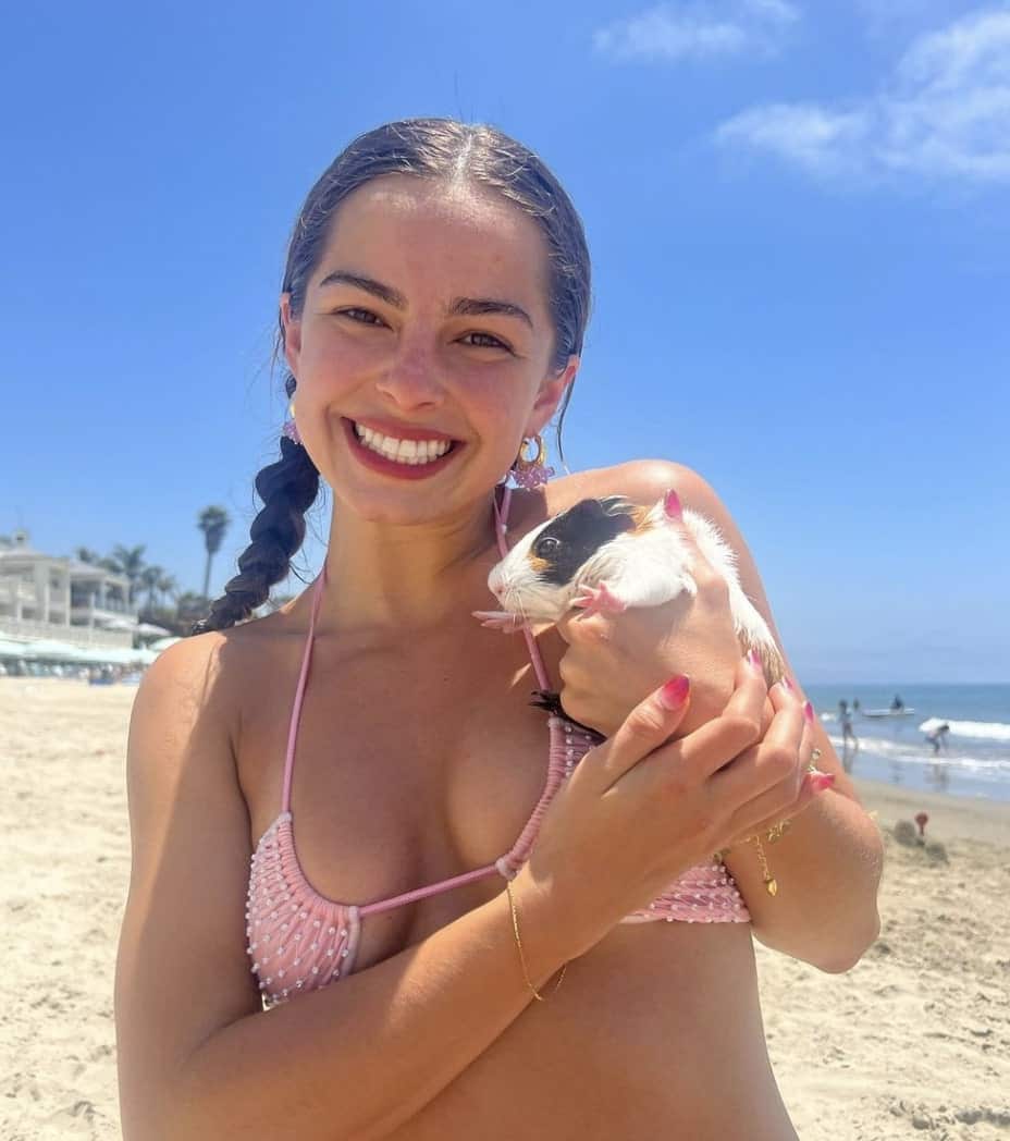 Addison Rae joue les sirènes avec un «wet look» dans la mer d'Hawaii ...