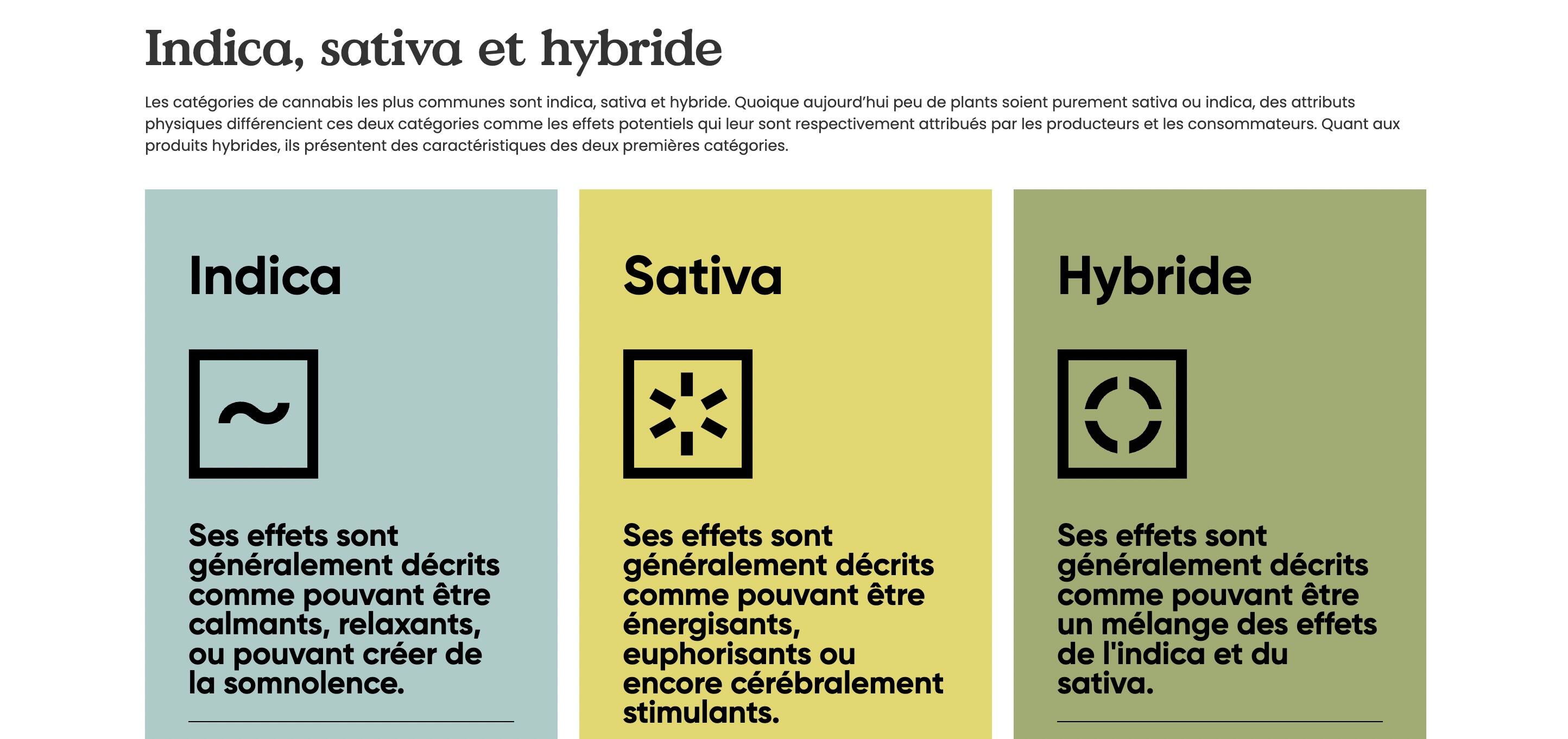 Cannabis: il n'y a pas vraiment de différence entre sativa et indica ...