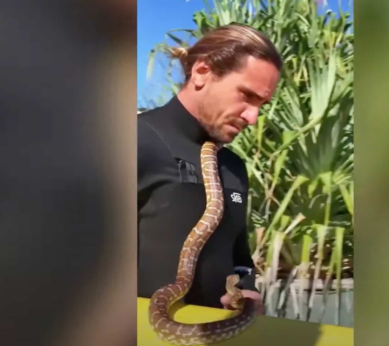 Un Australien devra payer plus de 2000$ d'amende pour avoir surfé avec ...