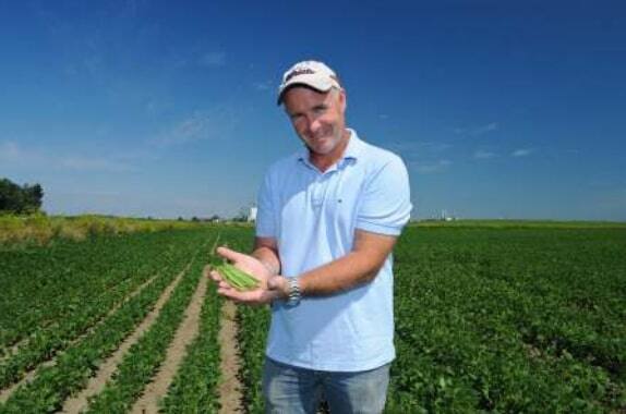 Deux ex-banquiers ont sauvé le cornichon au Québec | JDQ