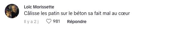 Une influenceuse française veut patiner dans une fontaine glacée et les ...