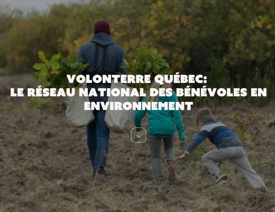 Enfin un Tinder pour l'environnement! | JDQ