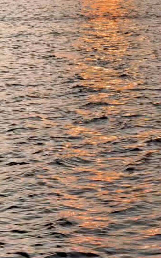 Sébastien Delorme fait une vidéo sexy au pied du pont Champlain à ...