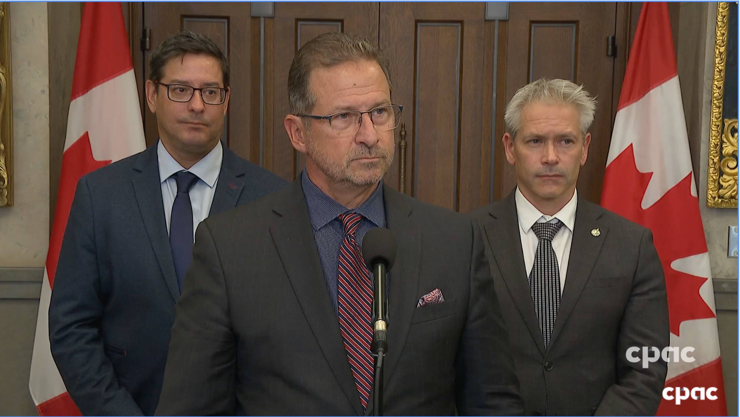 Le projet de constitution du Québec n’est pas suffisamment «rassembleur ...